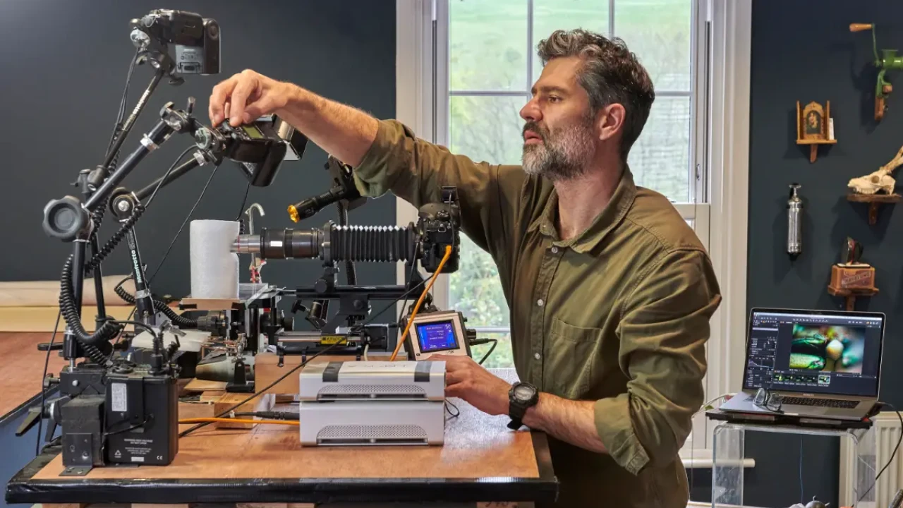 Levon Biss | Microsculpture